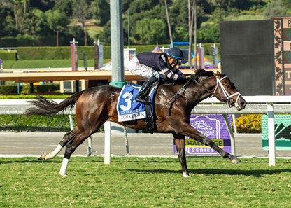 Endlessly - Horse Profile - BloodHorse