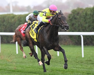 Spirit of St Louis - Horse Profile - BloodHorse