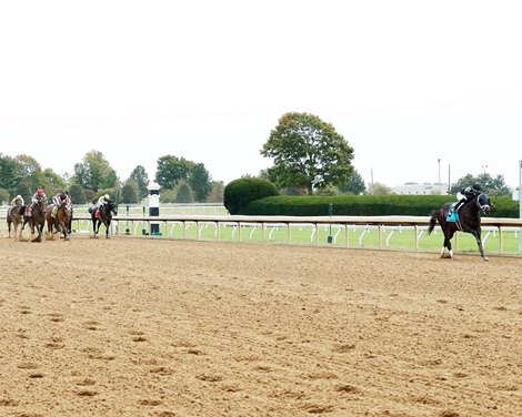 Keeneland Cards Maiden Races For RNAs, Lower-End Buys - BloodHorse