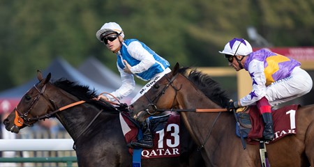 Kelina (IRE) - Horse Profile - BloodHorse