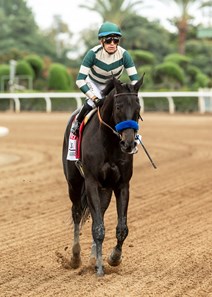 Adare Manor - Horse Profile - BloodHorse