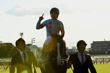 Equinox (JPN) - Horse Profile - BloodHorse