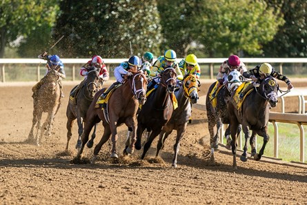 Gun Runner - Horse Profile - BloodHorse