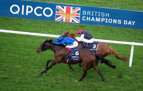 Dettori Raises the Roof in Epic Long Distance Cup Win - BloodHorse