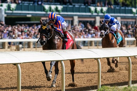 Uncle Mo - Horse Profile - BloodHorse