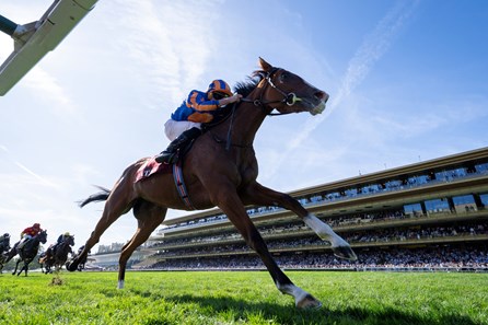 Opera Singer - Horse Profile - BloodHorse