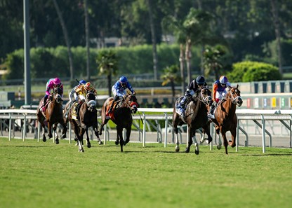 Endlessly - Horse Profile - BloodHorse