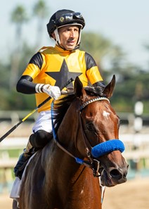 Slider - Horse Profile - BloodHorse