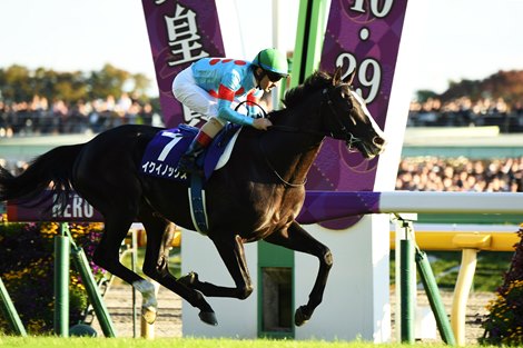 Equinox Wins Tenno Sho in Course-Record Time - BloodHorse