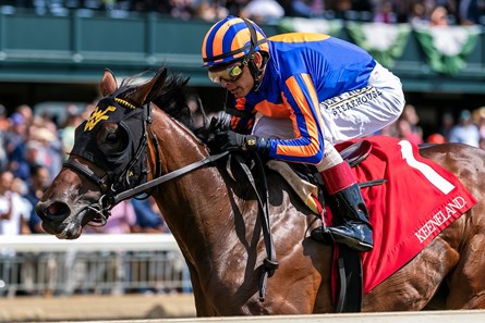 Uncle Mo - Horse Profile - BloodHorse