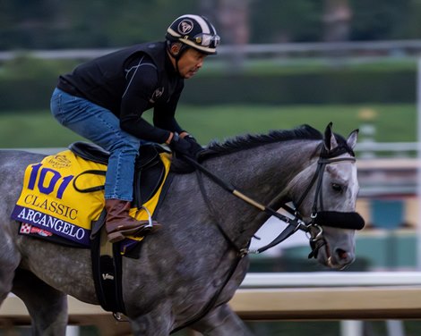 Arcangelo to Scratch From Breeders' Cup Classic - BloodHorse