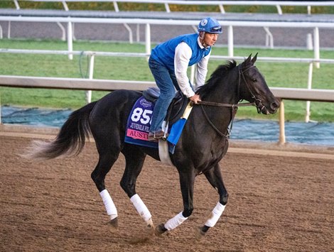 Austere Faces Stern Opposition in Florida Oaks - BloodHorse