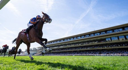 Opera Singer - Horse Profile - BloodHorse