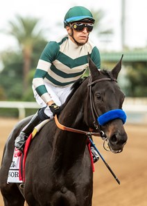 Adare Manor - Horse Profile - BloodHorse