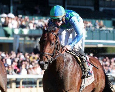 Agoo - Horse Profile - BloodHorse