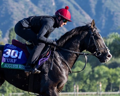 Auguste Rodin Among Top International BC Turf Runners - BloodHorse