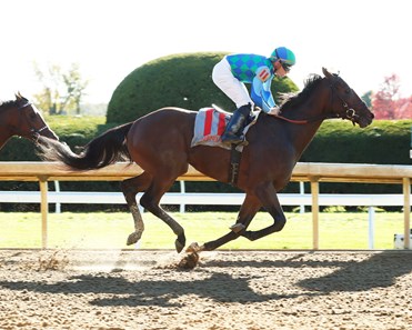 Agoo - Horse Profile - BloodHorse