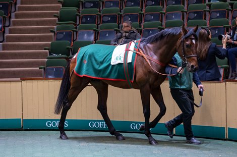 Aisling Crowe - Journalist Profile - Intelligent Relations