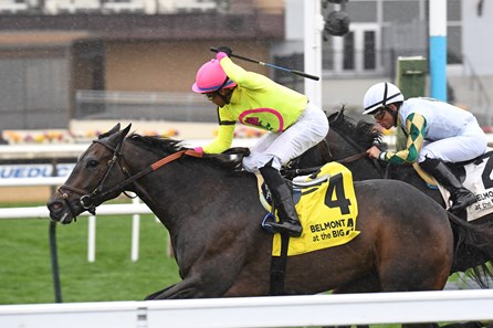 Spirit of St Louis - Horse Profile - BloodHorse