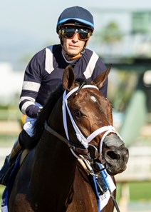 Endlessly - Horse Profile - BloodHorse