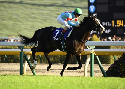 Equinox (JPN) - Horse Profile - BloodHorse