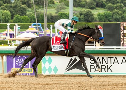 Adare Manor - Horse Profile - BloodHorse