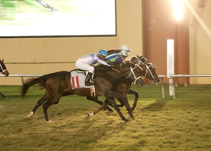 Grace's Hank - Horse Profile - BloodHorse