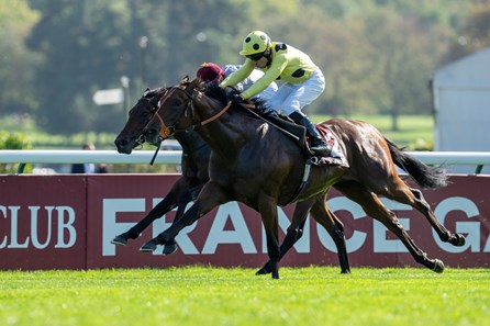 Rosallion (IRE) - Horse Profile - BloodHorse