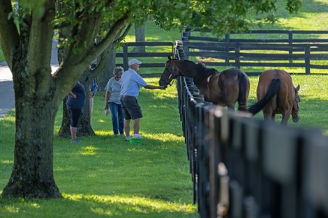 Old Friends 2026 Tour Reservations Now Open - BloodHorse