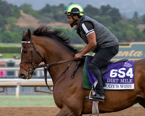 Cody's Wish Takes Lead in NTRA Poll - BloodHorse