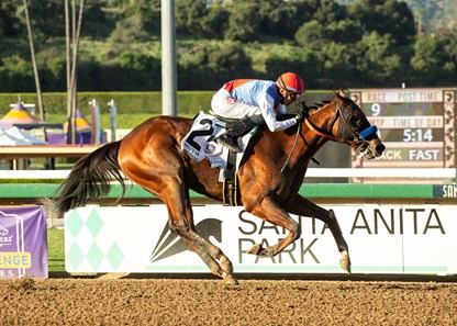 Muth - Horse Profile - BloodHorse