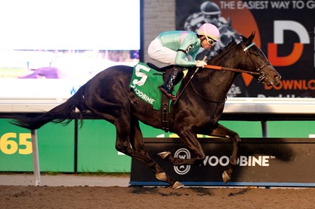 Olivia Rose - Horse Profile - BloodHorse