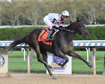 Jody's Pride - Horse Profile - BloodHorse