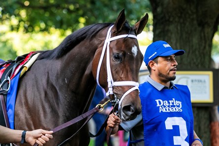 Candied - Horse Profile - BloodHorse