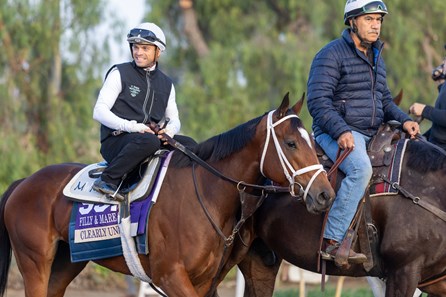 Clearly Unhinged - Horse Profile - BloodHorse
