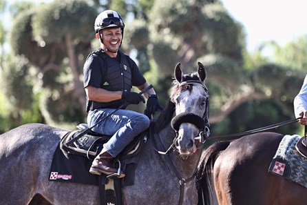Arcangelo - Horse Profile - BloodHorse