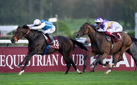 Kelina (IRE) - Horse Profile - BloodHorse