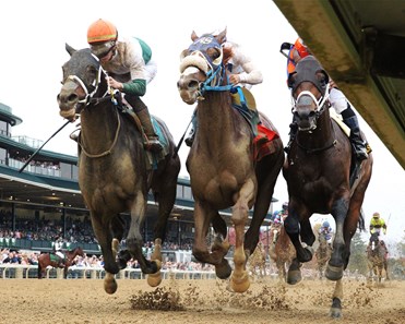 O'Connor (CHI) - Horse Profile - BloodHorse