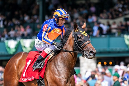 Uncle Mo - Horse Profile - BloodHorse