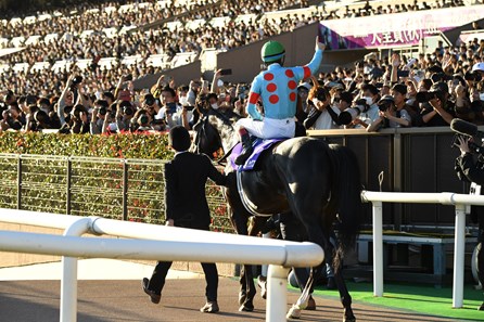 Equinox (JPN) - Horse Profile - BloodHorse