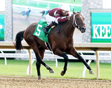 Blue Light - Horse Profile - BloodHorse