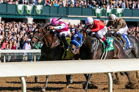 Raise Cain - Horse Profile - BloodHorse