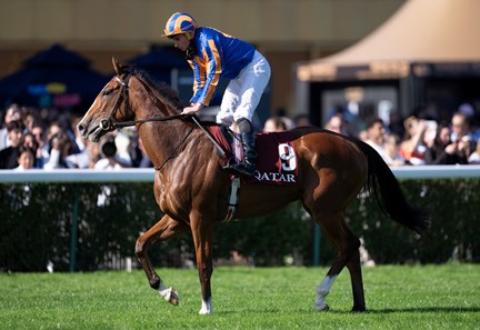 Opera Singer - Horse Profile - BloodHorse