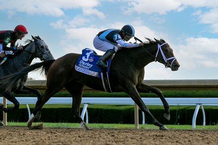 Candied - Horse Profile - BloodHorse