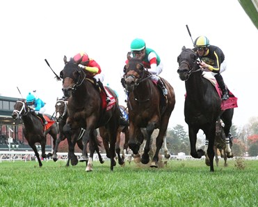 Runaway Storm - Horse Profile - BloodHorse