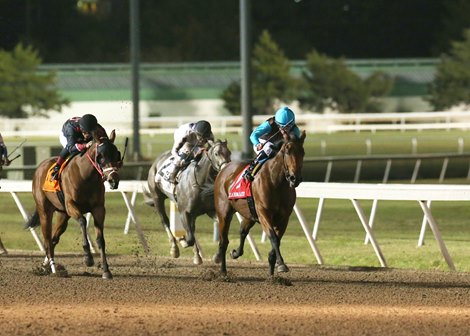 Miss Code West First Stakes Winner for Code West - BloodHorse