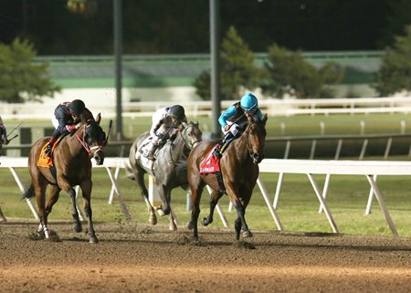 Miss Code West First Stakes Winner for Code West - BloodHorse