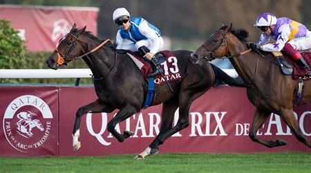 Kelina (IRE) - Horse Profile - BloodHorse