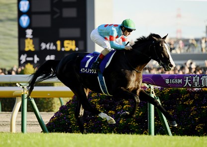 Equinox (JPN) - Horse Profile - BloodHorse