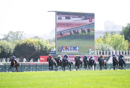 Opera Singer - Horse Profile - BloodHorse